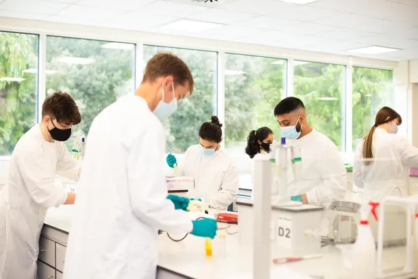 From labs in South Wales to lions and leopards in South Africa | Clare ...